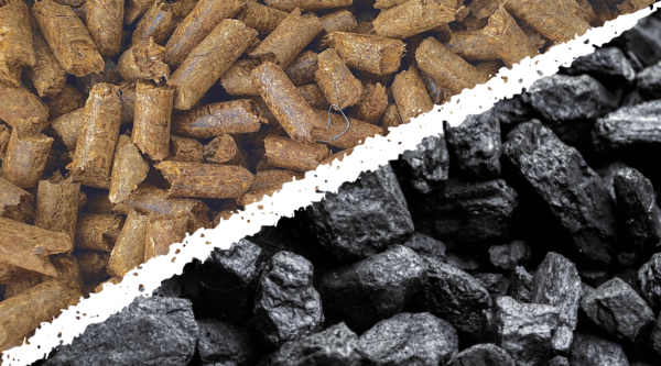 Converting an Industrial Coal Boiler to Run on Biomass Pellets: - Berde ...